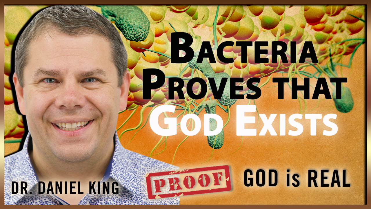 Bacteria Proves that God Exists